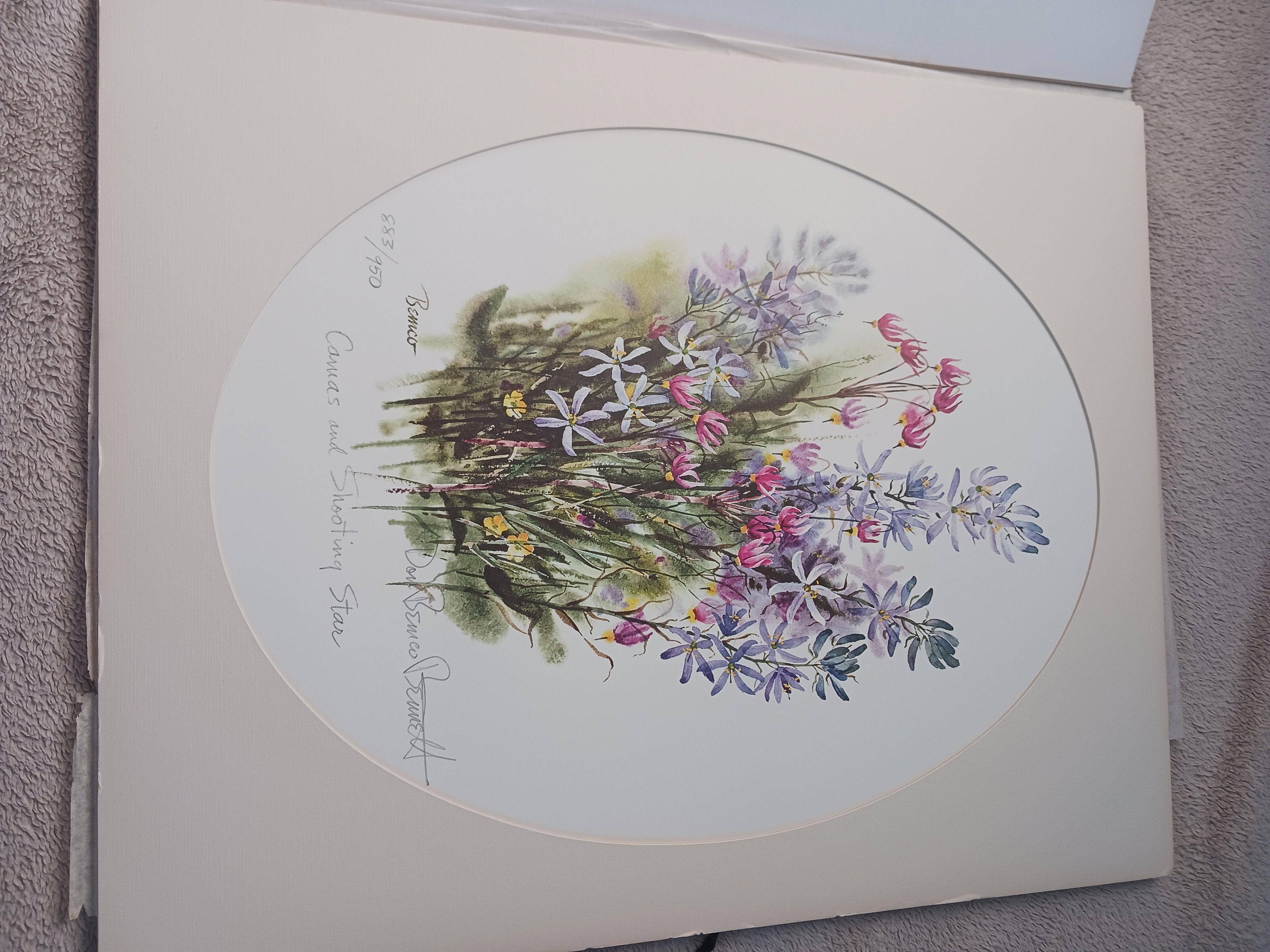 Portfolio Don Bemco Bennet Set of 4 Signec and Numbered Prints - Etsy