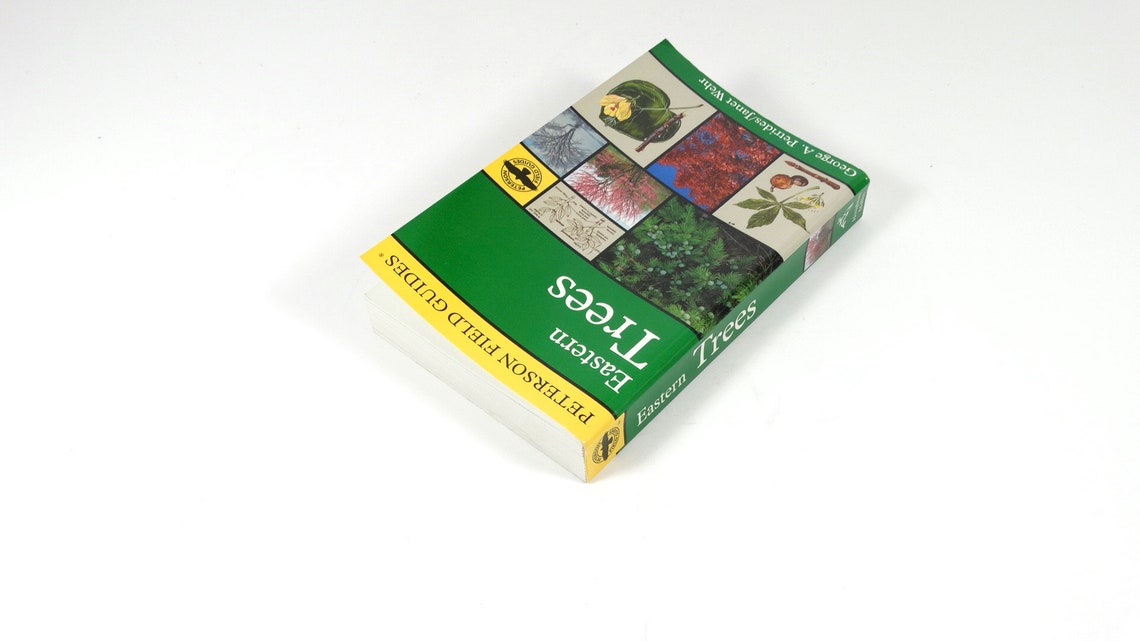 1998 Peterson Field Guide to Eastern Trees George Petrides - Etsy