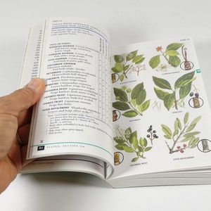 1998 Peterson Field Guide to Eastern Trees - George Petrides - Peterson ...