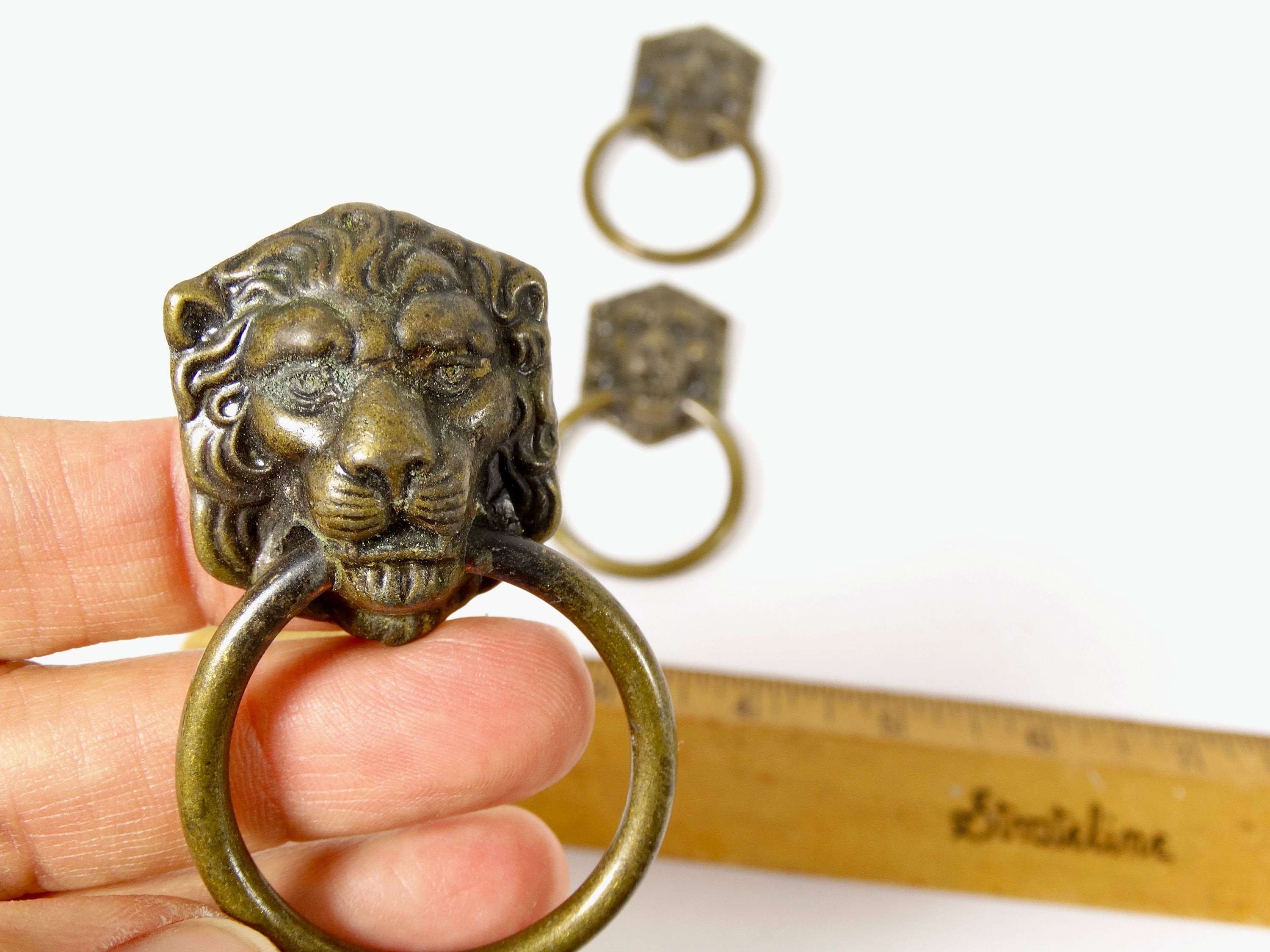 Vintage Brass Lion Head Drawer Pulls - Larger Ring Size, Set of 4 ...