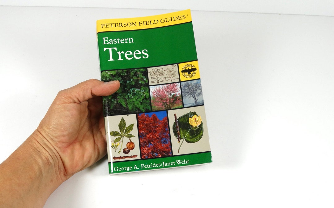 1998 Peterson Field Guide to Eastern Trees - George Petrides - Peterson ...