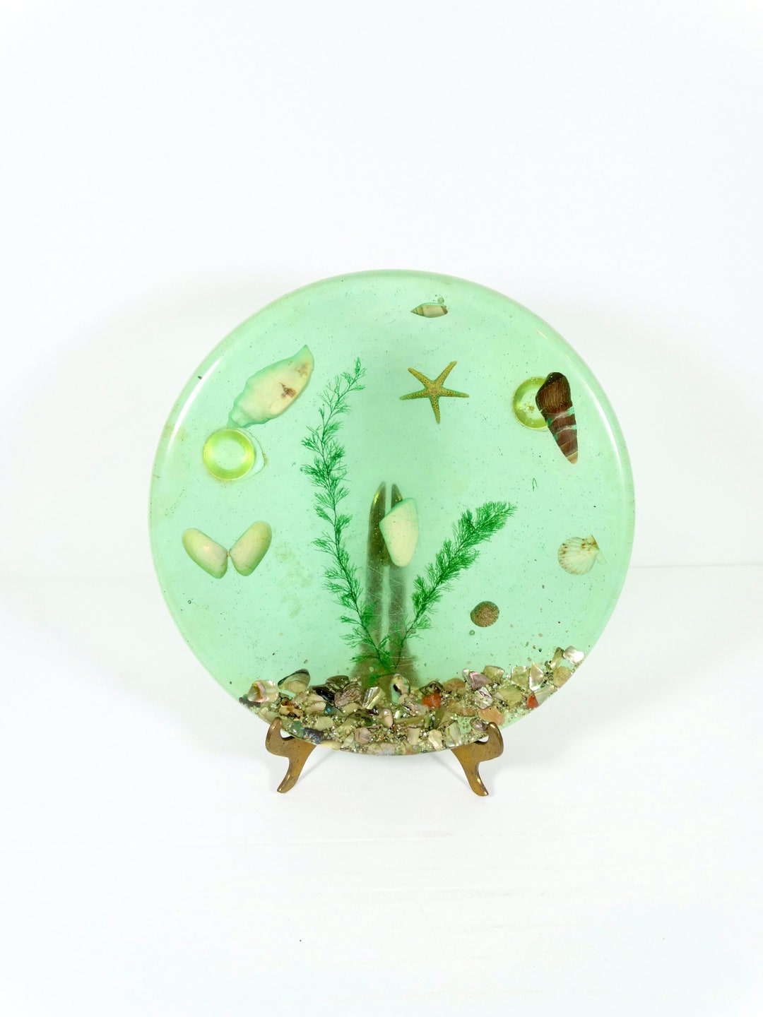 Vintage Resin Trivet Resin Sea Shell Trivet Vintage Shell Trivet ...
