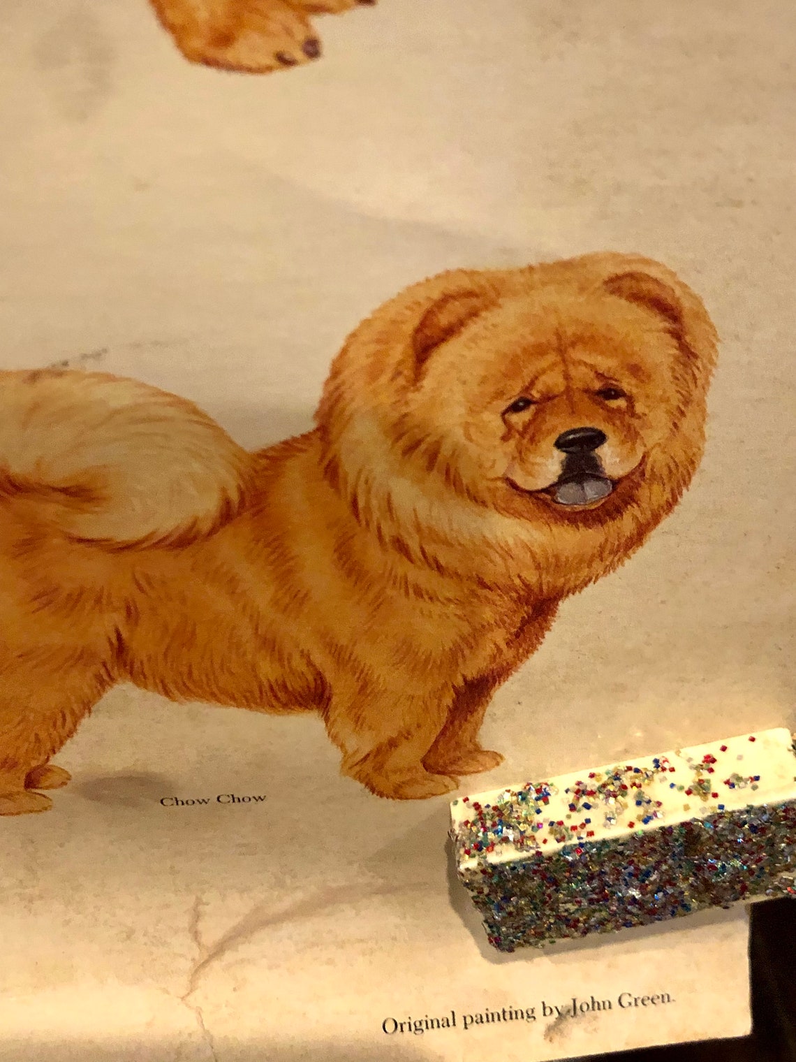 Original 1988 Favorite Dogs Poster Dover Dog Breed Poster - Etsy