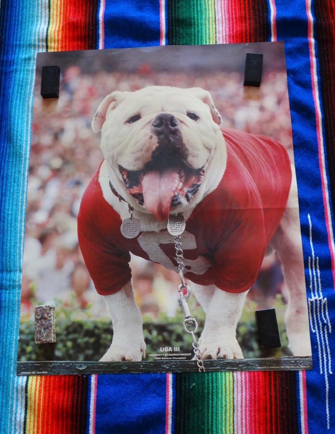 1980 Vintage UGA III University of Georgia Mascot Poster GA Bulldogs ...