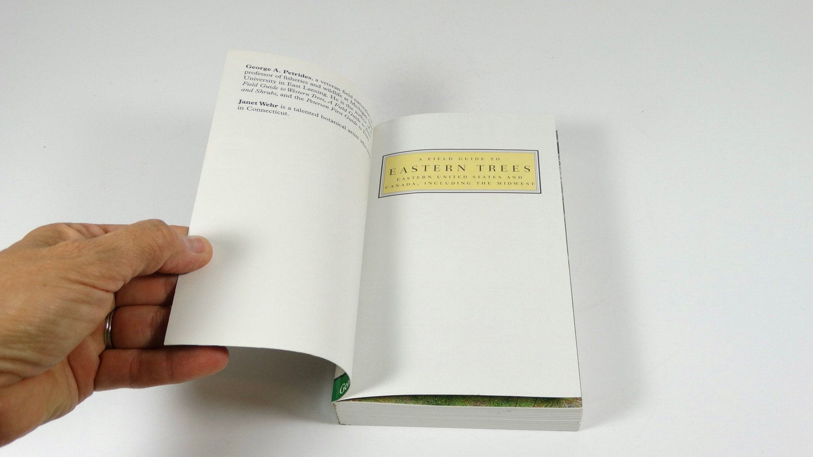 1998 Peterson Field Guide to Eastern Trees George Petrides - Etsy