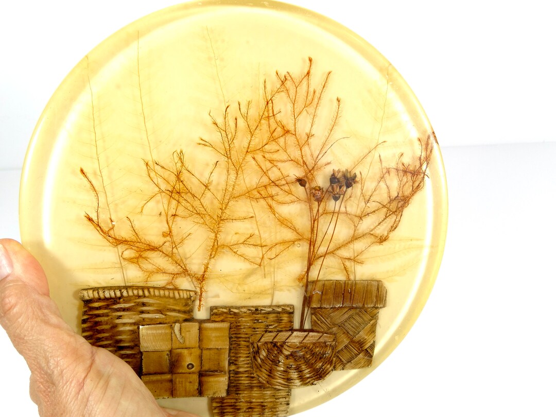 1970s Resin Trivet 1970s Decor 70s Home Decor 1970s Kitchen Resin ...