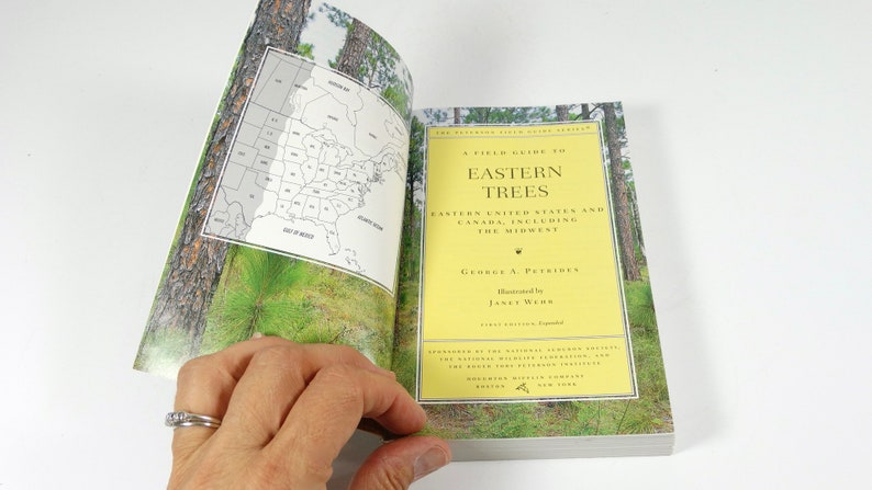 1998 Peterson Field Guide to Eastern Trees George Petrides - Etsy