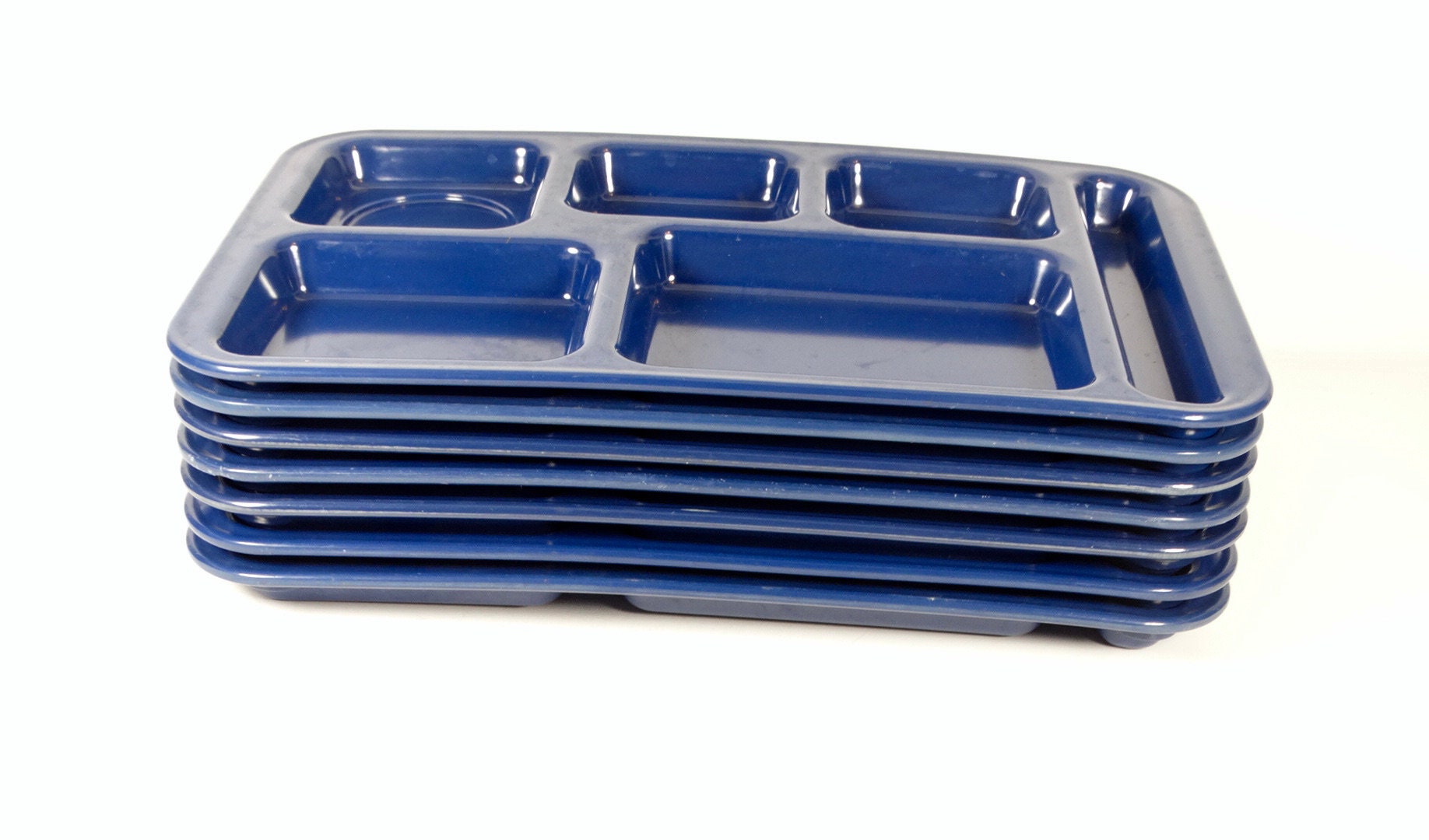 Blue School Lunch Tray