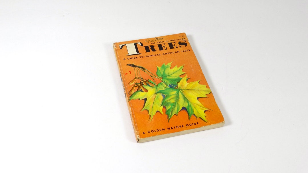 1956 Trees Guide Book - Golden Nature Guide Trees - Science Guidebook ...