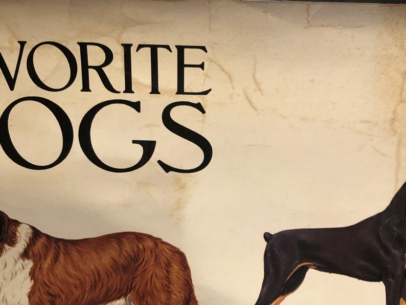 Original 1988 Favorite Dogs Poster Dover Dog Breed Poster - Etsy