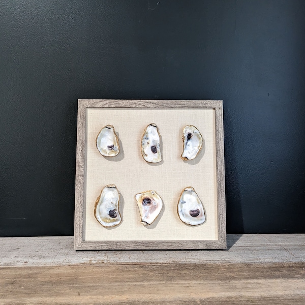 Framed Shell Art - Etsy