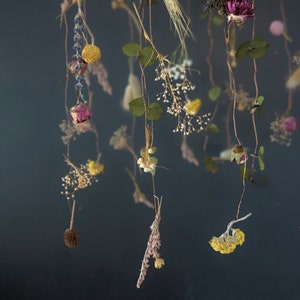 Dried Hanging Flower Strings Preserved Flowers Garland Round Hanging ...