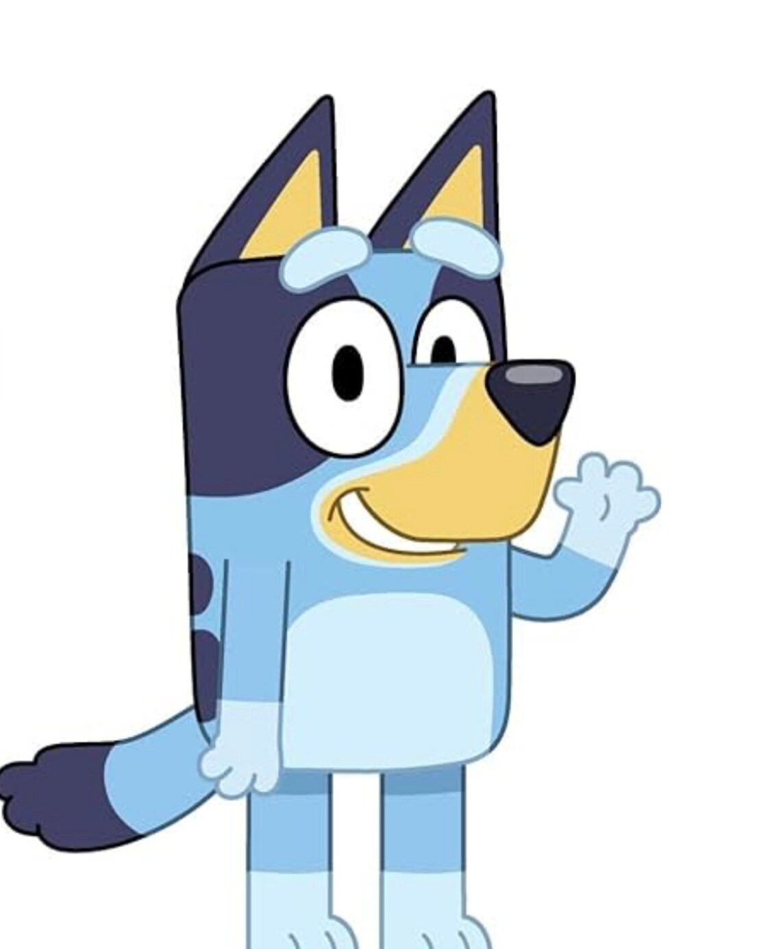 Bluey Tiara, Bingo Tiara, Bluey Crown, Bingo Crown, Bluey Accessory ...