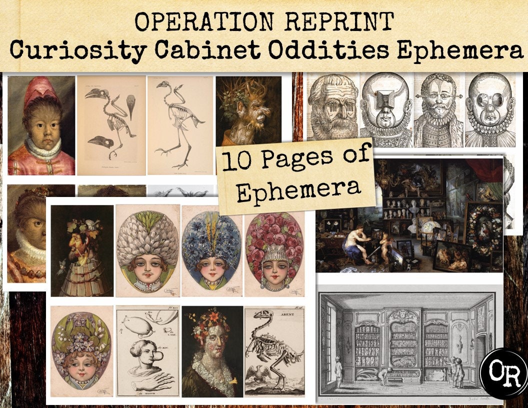 Curiosity Cabinet Oddities & Ephemera 180 Images Nature and - Etsy