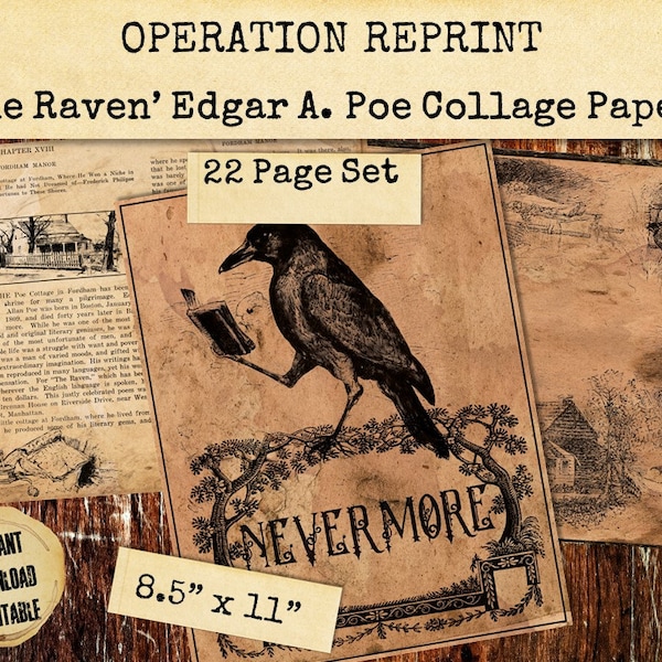 Poe and the Raven - Etsy