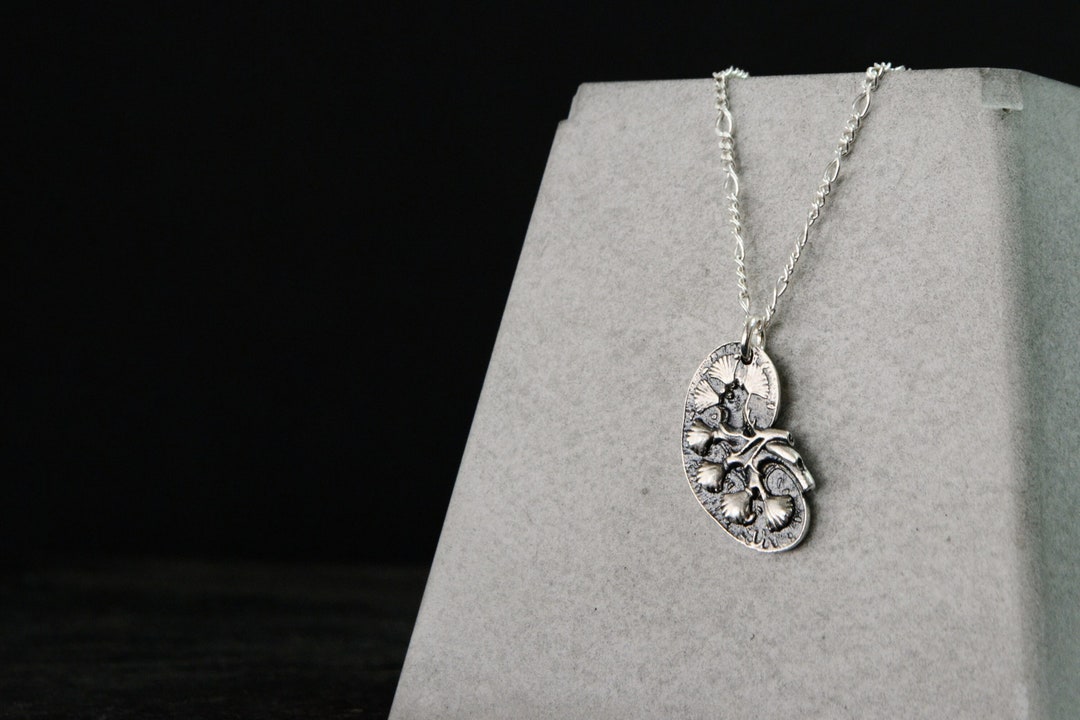 Kidney Necklace Medical Science Kidney Jewelry Doctor Nurse Medical ...