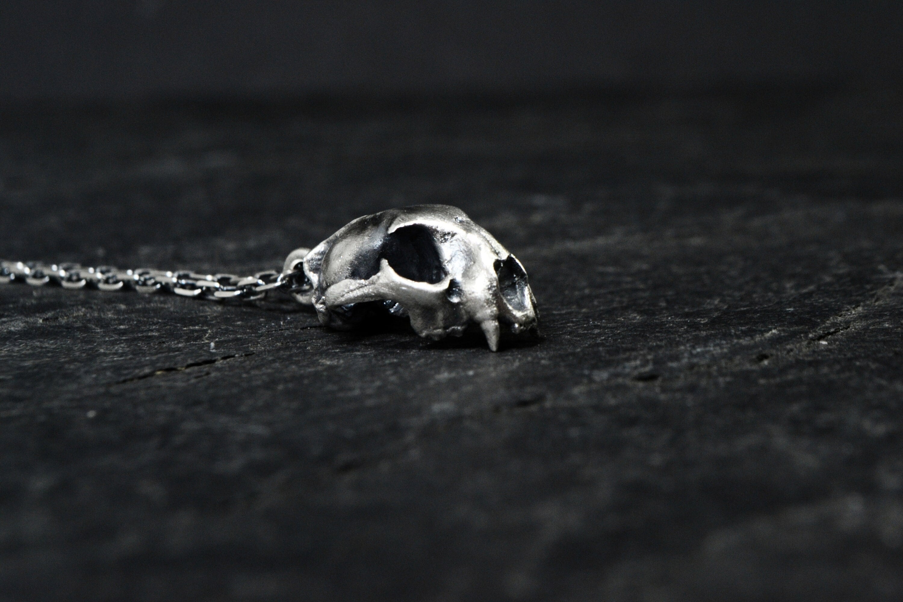 Cat Skull Jewelry 925 Silver Wild Cat Skeleton Animal Necklace | Etsy