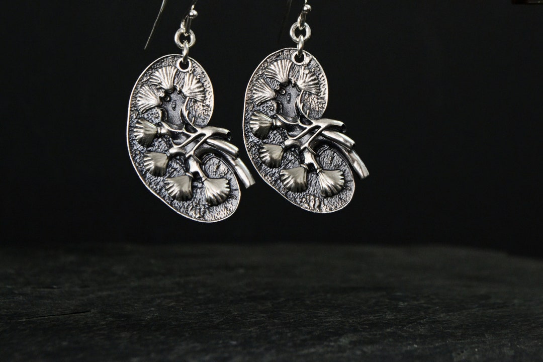 Kidney Dangle Earrings Medical Anatomical Kidney Science Jewelry Doctor ...