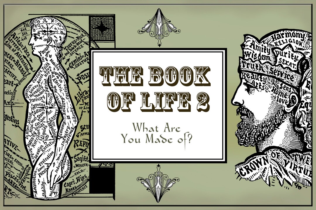 Digital Design Elements and Overlays: the Book of Life 2 - Etsy
