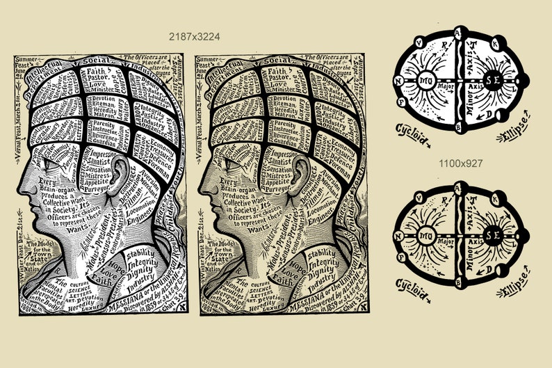 Digital Design Elements and Overlays: the Book of Life 1 - Etsy