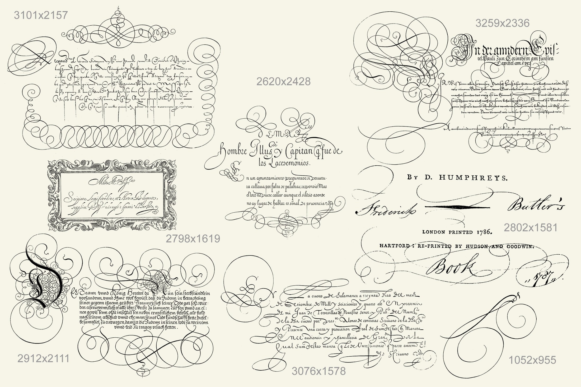 Photoshop Overlays: Romantic Pen Flourishes 2 - Etsy