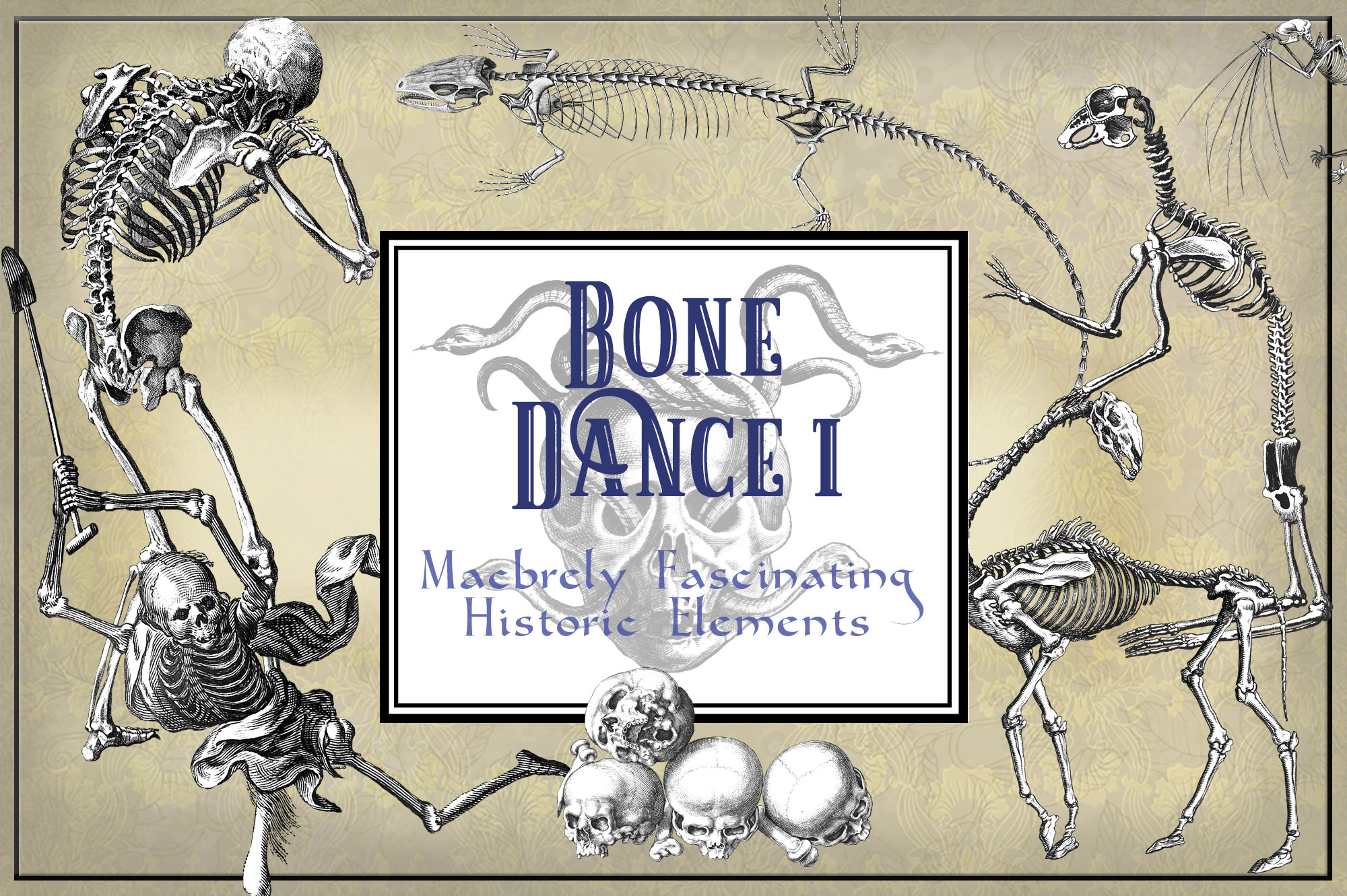 Digital Design Elements, Bone Dance 1 - Etsy