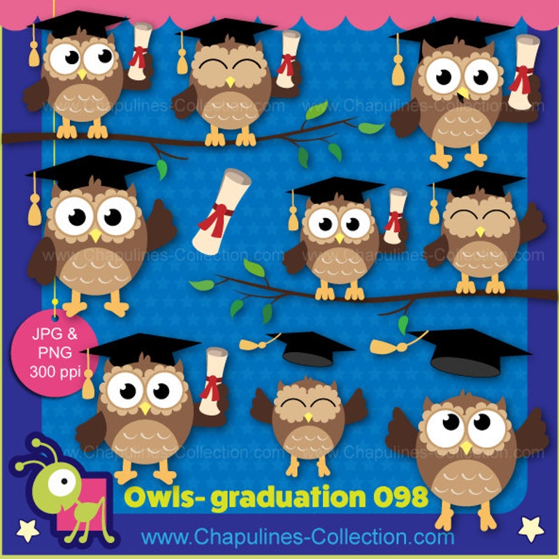 Graduation Owls - Etsy