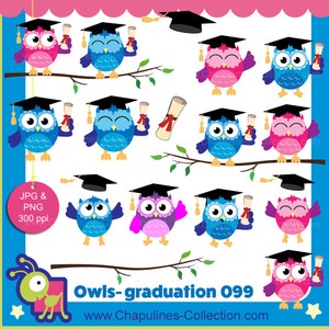 Graduation Owls Clipart, Colorful Owls Images, School Clipart ...