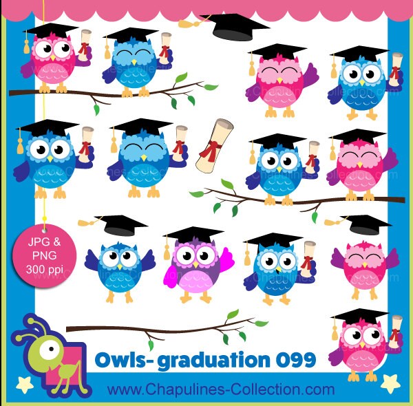 Graduation Owls clipart colorful owls images school clipart | Etsy