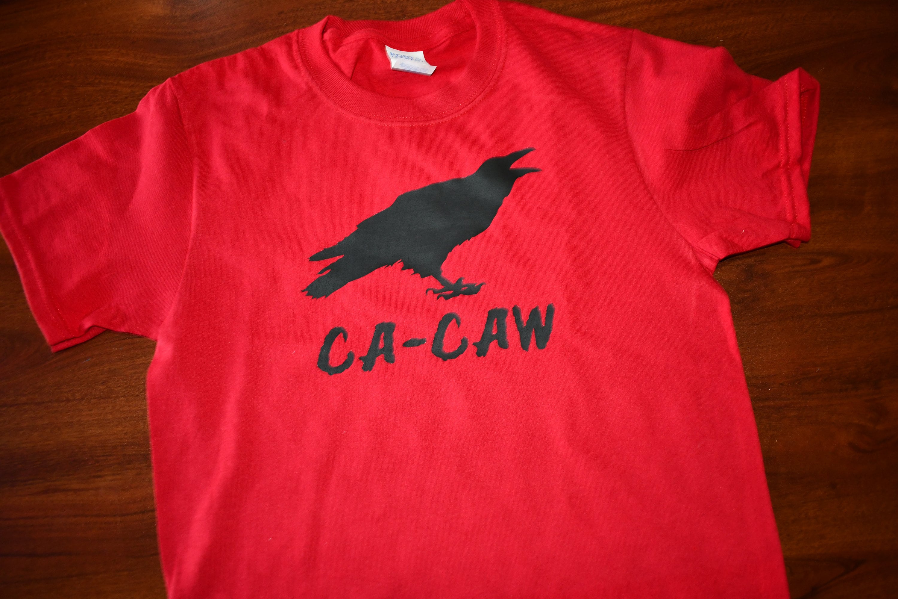 Ca Caw Blackbird Shirt or Hoodie: Youth Crow Sweatshirt - Etsy