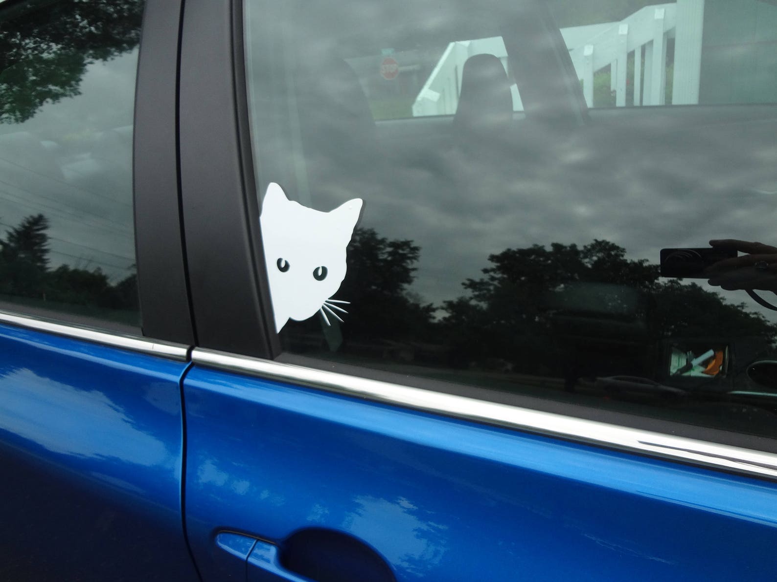 2 Cat Kitten Kitty Feline Decal Window Glass Sticker Gift Wall - Etsy