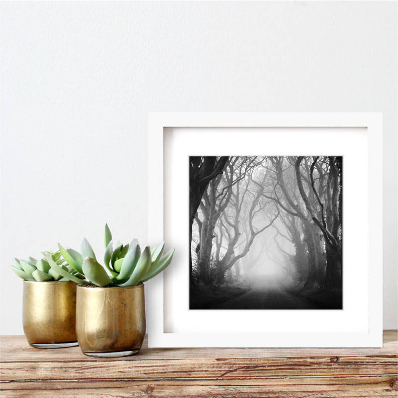 Gothic Print the Dark Hedges Ireland Irish Gift Idea Gift | Etsy