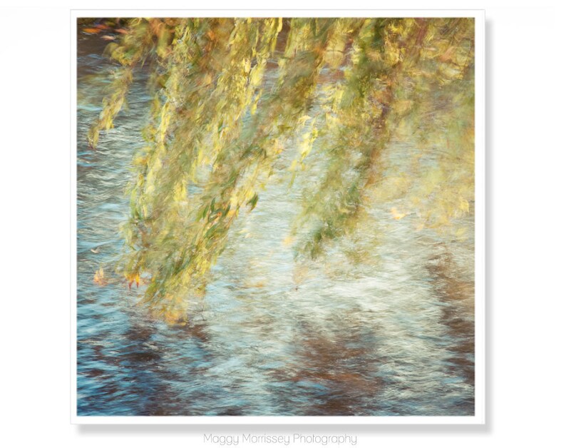 Abstract Art Willow Tree Photography Print in Blue Green and - Etsy Ireland