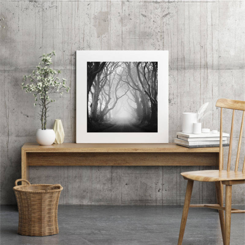 Gothic Print the Dark Hedges Ireland Irish Gift Idea Gift | Etsy