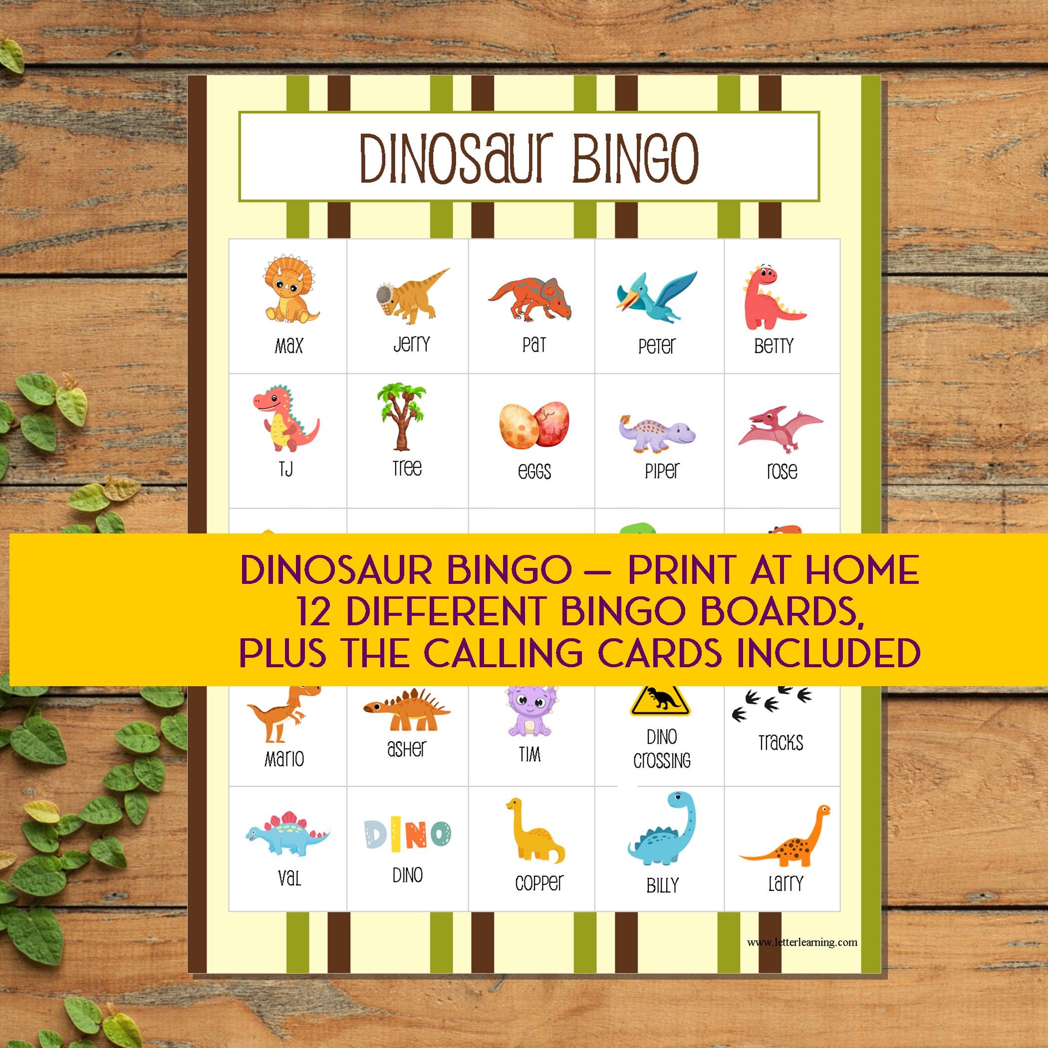 Dinosaur Bingo Game, Printable Dinosaur Bingo Party Game (includes 12 ...