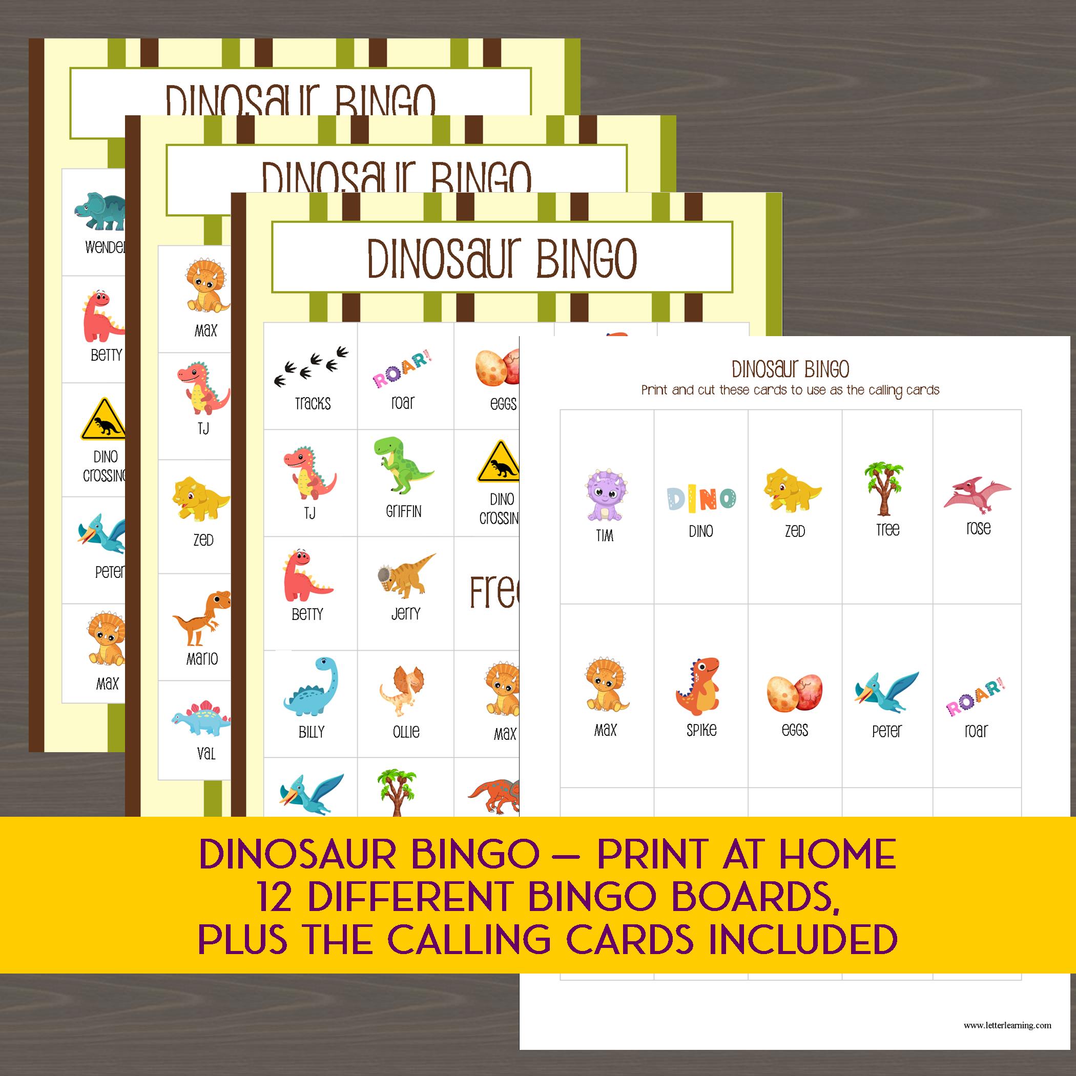 Dinosaur Bingo Game, Printable Dinosaur Bingo Party Game (includes 12 ...