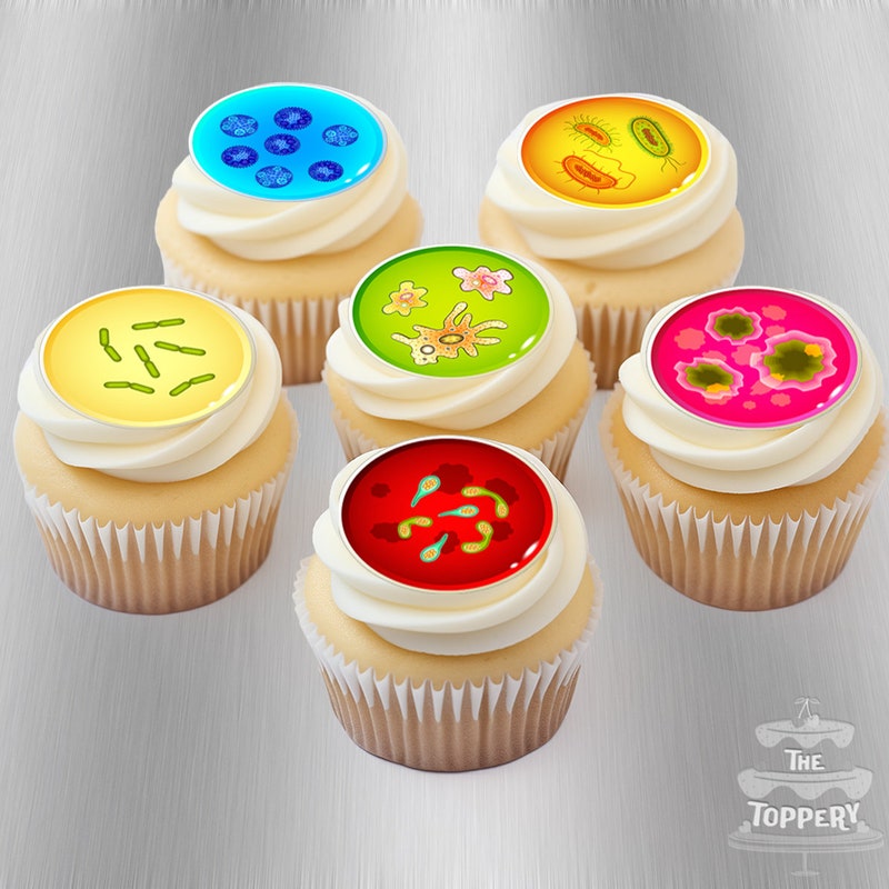 Science Cookies - Etsy