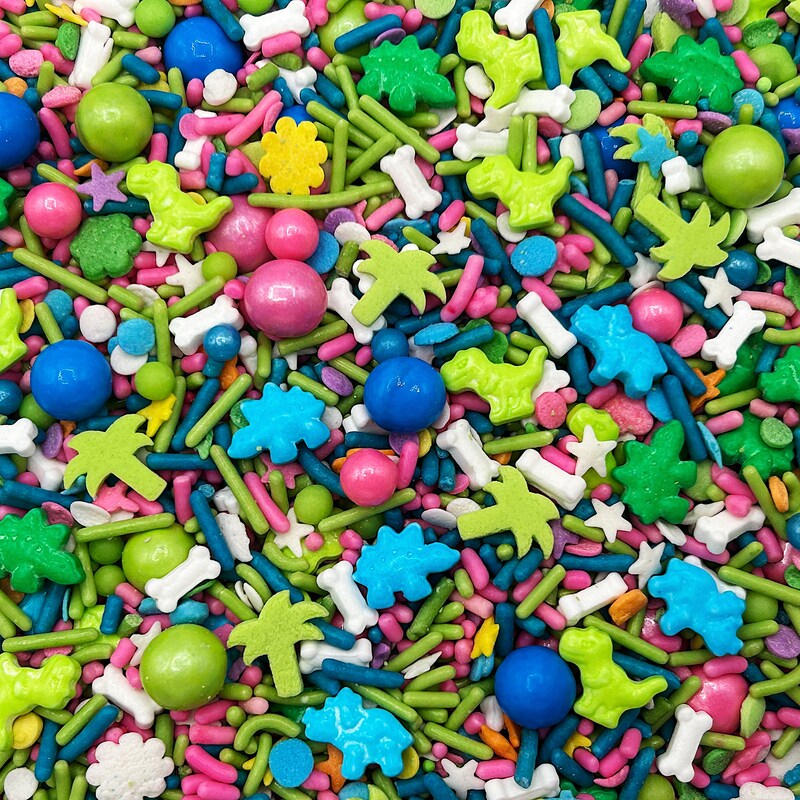Dinosaur Party Girl Cookies - Etsy
