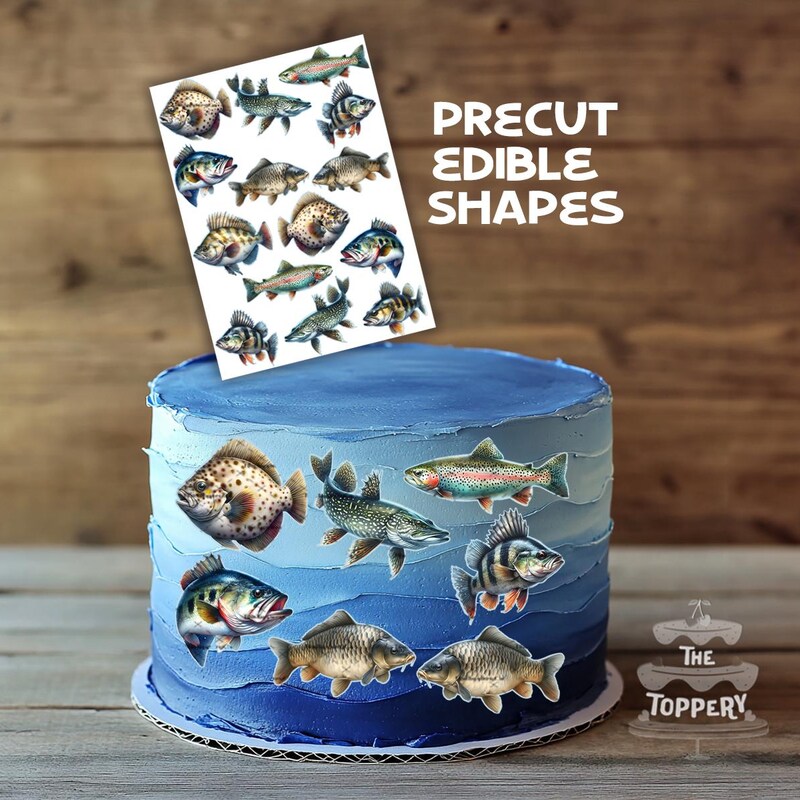 Fish Cake - Etsy