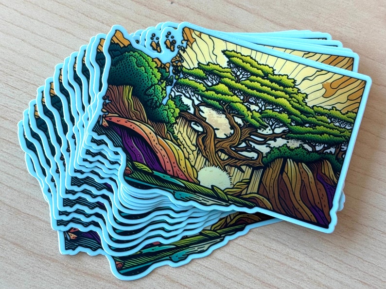 Tree of Life Sticker, Washington State, Kalaloch Beach Vinyl Decal - Etsy