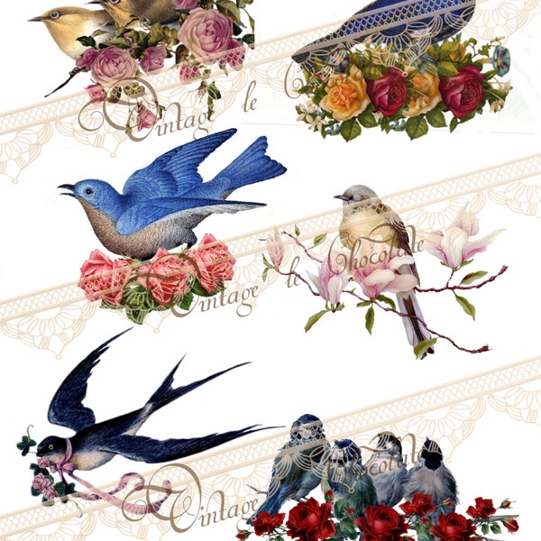 Bird Clip Art - Etsy