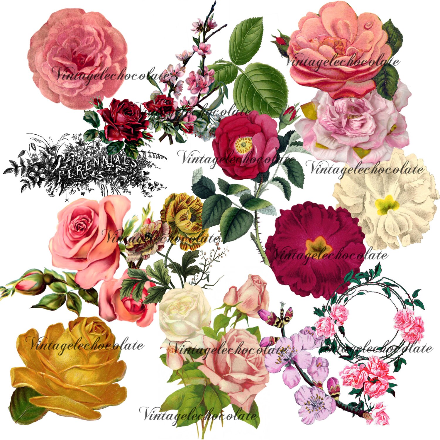 Digital Clip-art Digital Rose Clip Art Shabby Digital Floral | Etsy