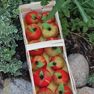 1x Apple for the Season Table, as a Decoration for the Apartment for ...