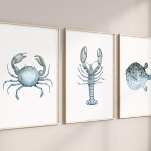 Boho Coastal Ocean Animal Wall Art Prints, Neutral Blue Sealife Modern ...