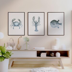 Boho Coastal Ocean Animal Wall Art Prints, Neutral Blue Sealife Modern ...