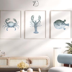 Boho Coastal Ocean Animal Wall Art Prints, Neutral Blue Sealife Modern ...