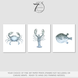 Boho Coastal Ocean Animal Wall Art Prints, Neutral Blue Sealife Modern ...