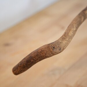 Antique Walking Stick or Cane With Naturally Bent Handle and Brass Tip ...