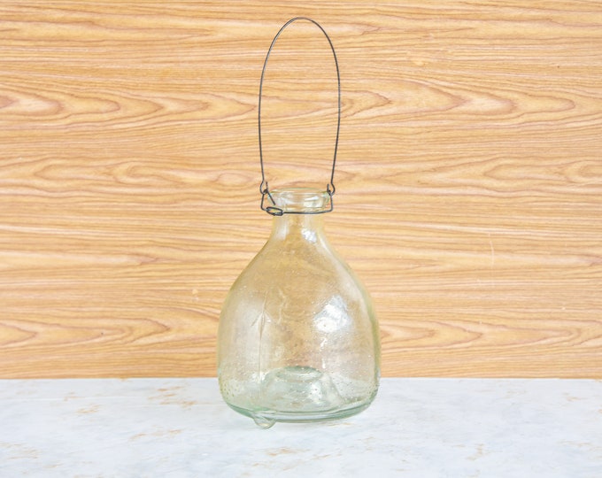 Vintage Glass Wasp Fly Hornet Trap, Hanging Insect Trap, Bug Catcher - Etsy