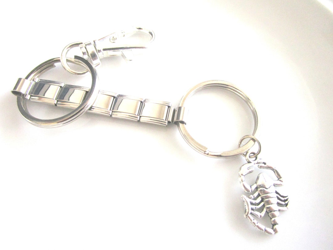 Scorpion Silver Tone Charm Key Chain - Square Chain Key Chain - Linked ...